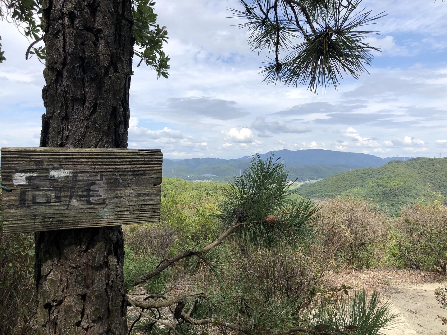 高尾山・新庄山 / yukiさんの芥子山・シャシャ木山の活動日記 | YAMAP / ヤマップ
