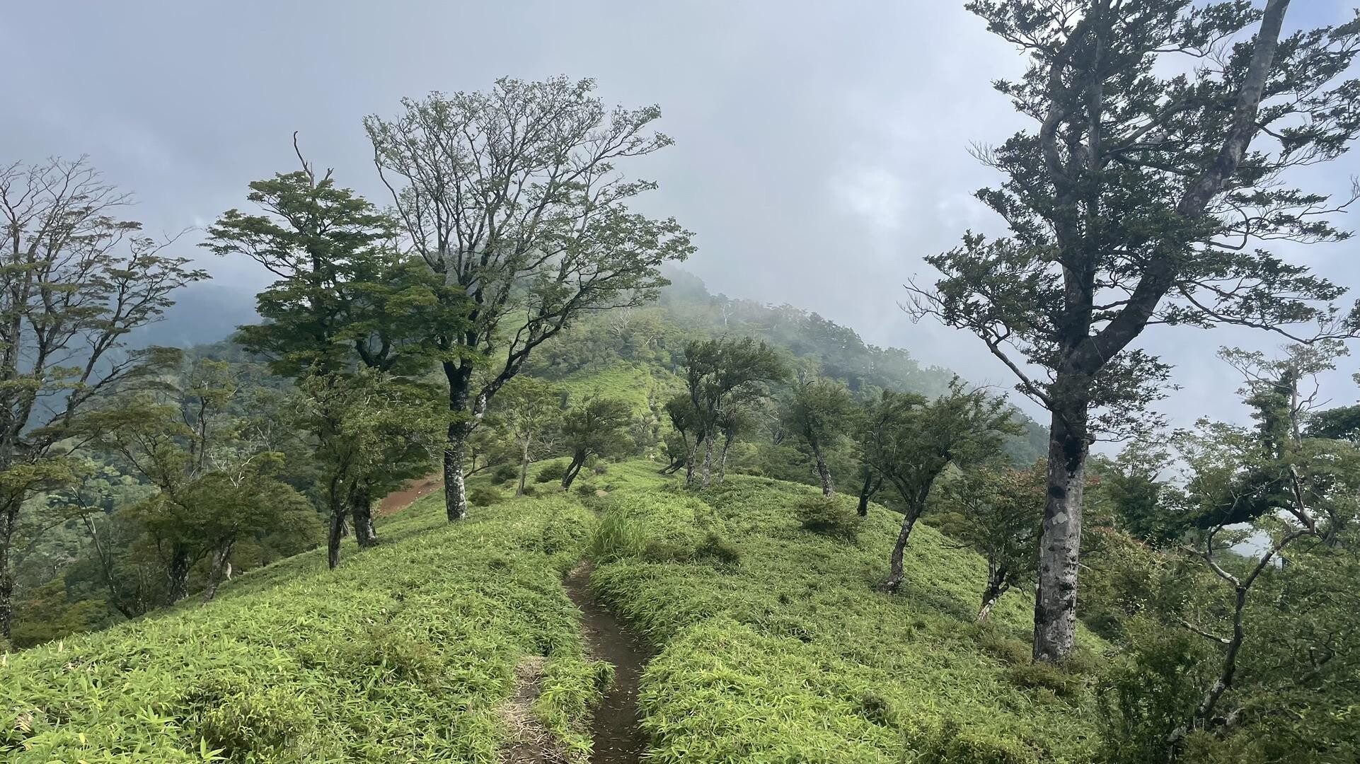 大倉〜塔ノ岳〜丹沢山(ソロトレ) / i-kumaさんの塔ノ岳・丹沢山・蛭ヶ岳の活動データ | YAMAP / ヤマップ