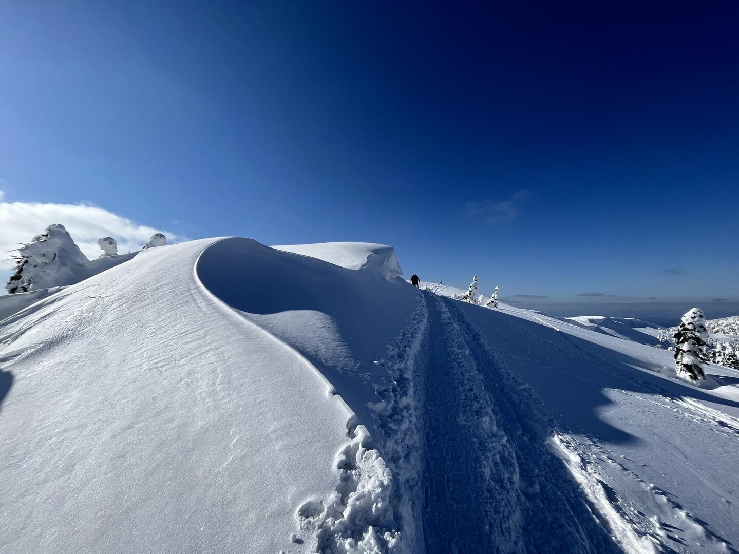 森吉山~ Le Grand Bleu ~ / shunさんの森吉山の活動データ | YAMAP / ヤマップ