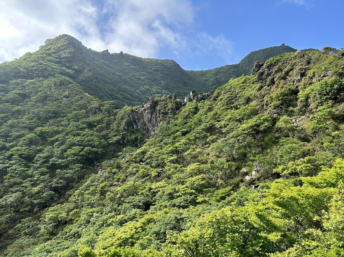 初🎉の塚原コースで由布岳 ️ / masapi-さんの由布岳・鶴見岳の活動データ | YAMAP / ヤマップ