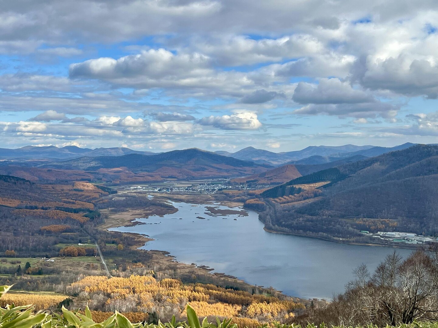 0の山（ゼロの山） 薮漕ぎ😁 / miyukiさんの社満射岳の活動データ | YAMAP / ヤマップ