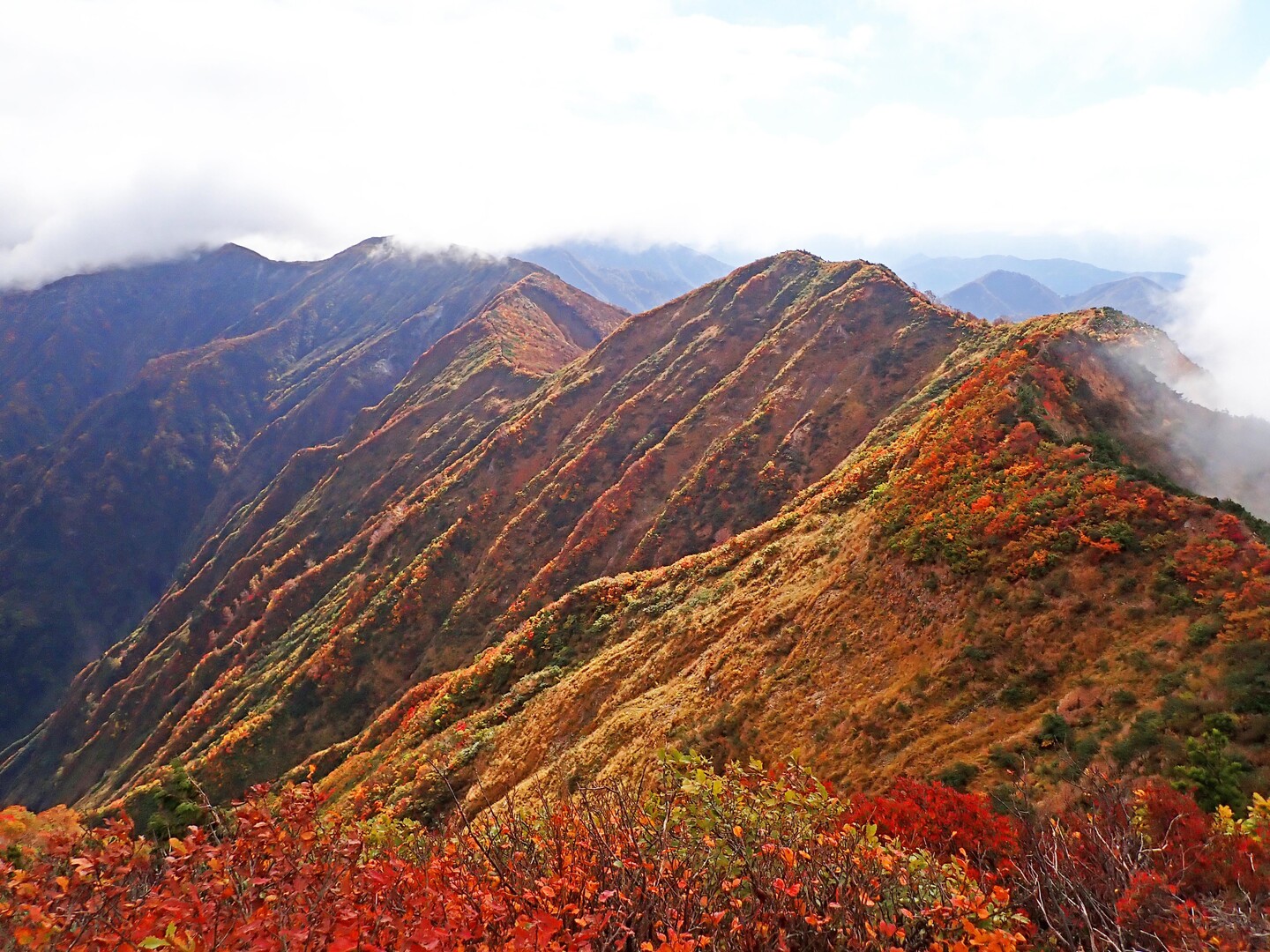 白鳥山・犬ヶ岳 / Haktさんの白鳥山・下駒ヶ岳・犬ヶ岳の活動データ | YAMAP / ヤマップ