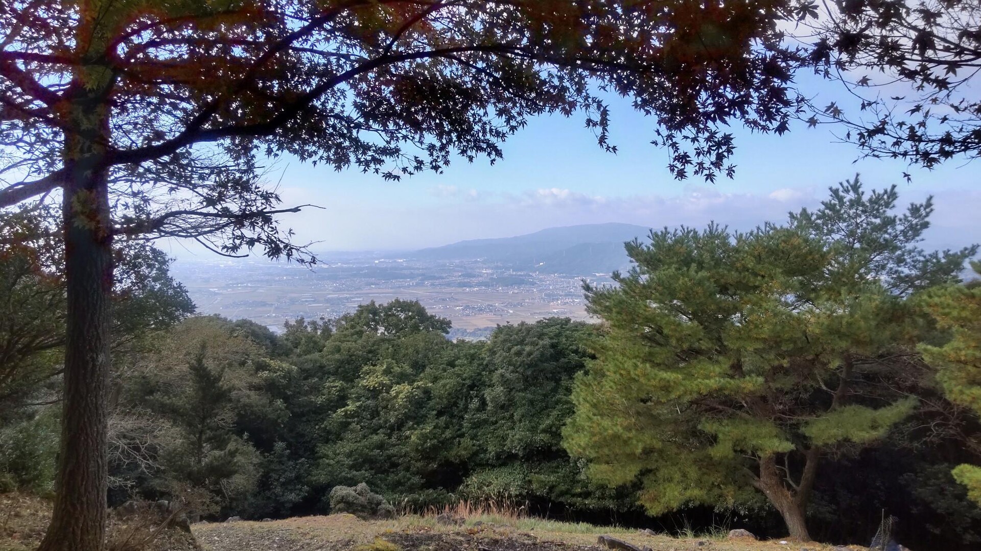 低山三座縦走 砥上岳・大根地山・笹尾山 / Mt.Keyさんの砥上岳の活動データ | YAMAP / ヤマップ