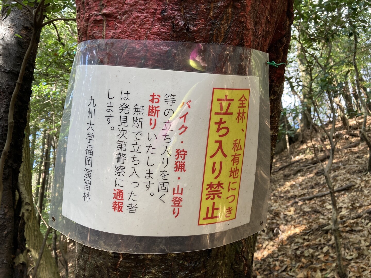 Hanamamさんの投稿したフィールドメモ | YAMAP / ヤマップ