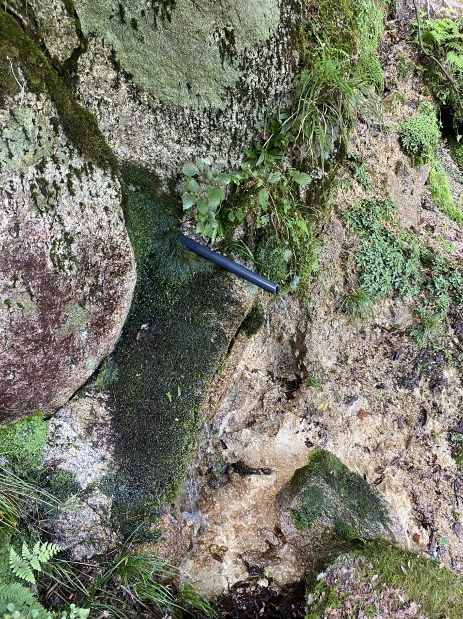 k2ma34さんの投稿したフィールドメモ | YAMAP / ヤマップ