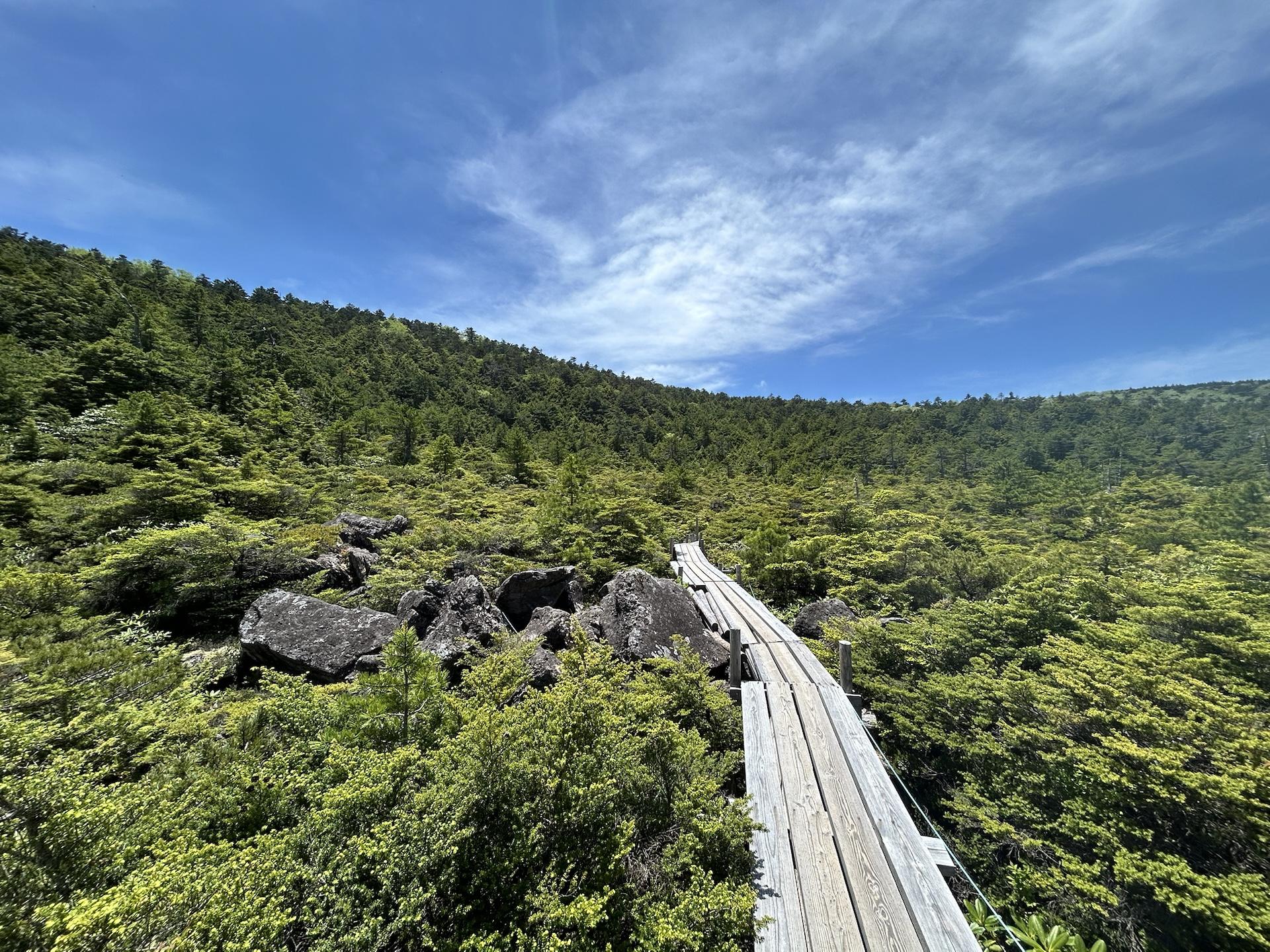 ニュウ・中山 / uda19さんの蓼科山・横岳・縞枯山の活動データ | YAMAP / ヤマップ
