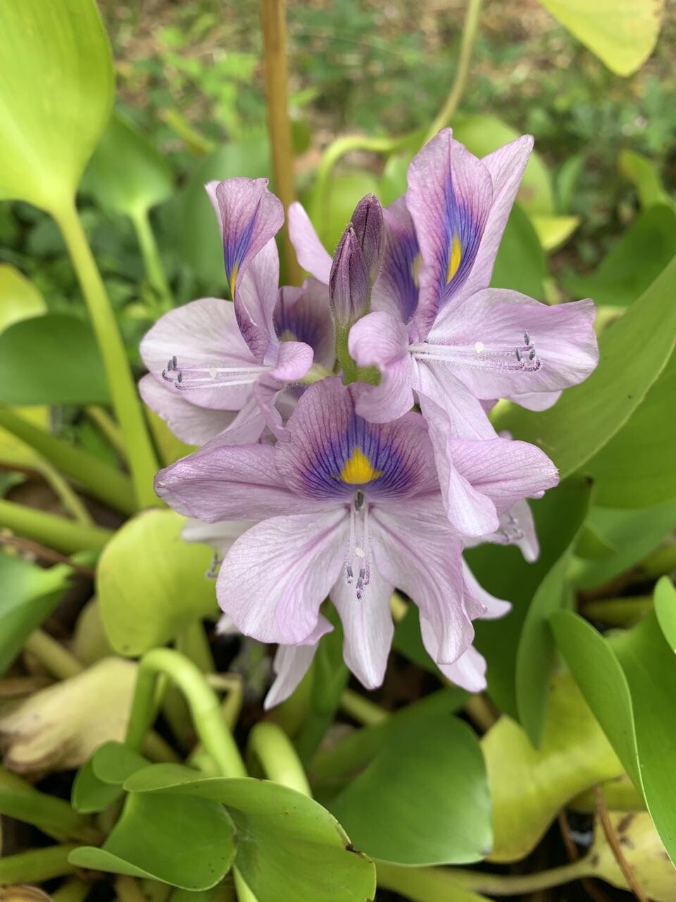 satomiのページ | YAMAP / ヤマップ