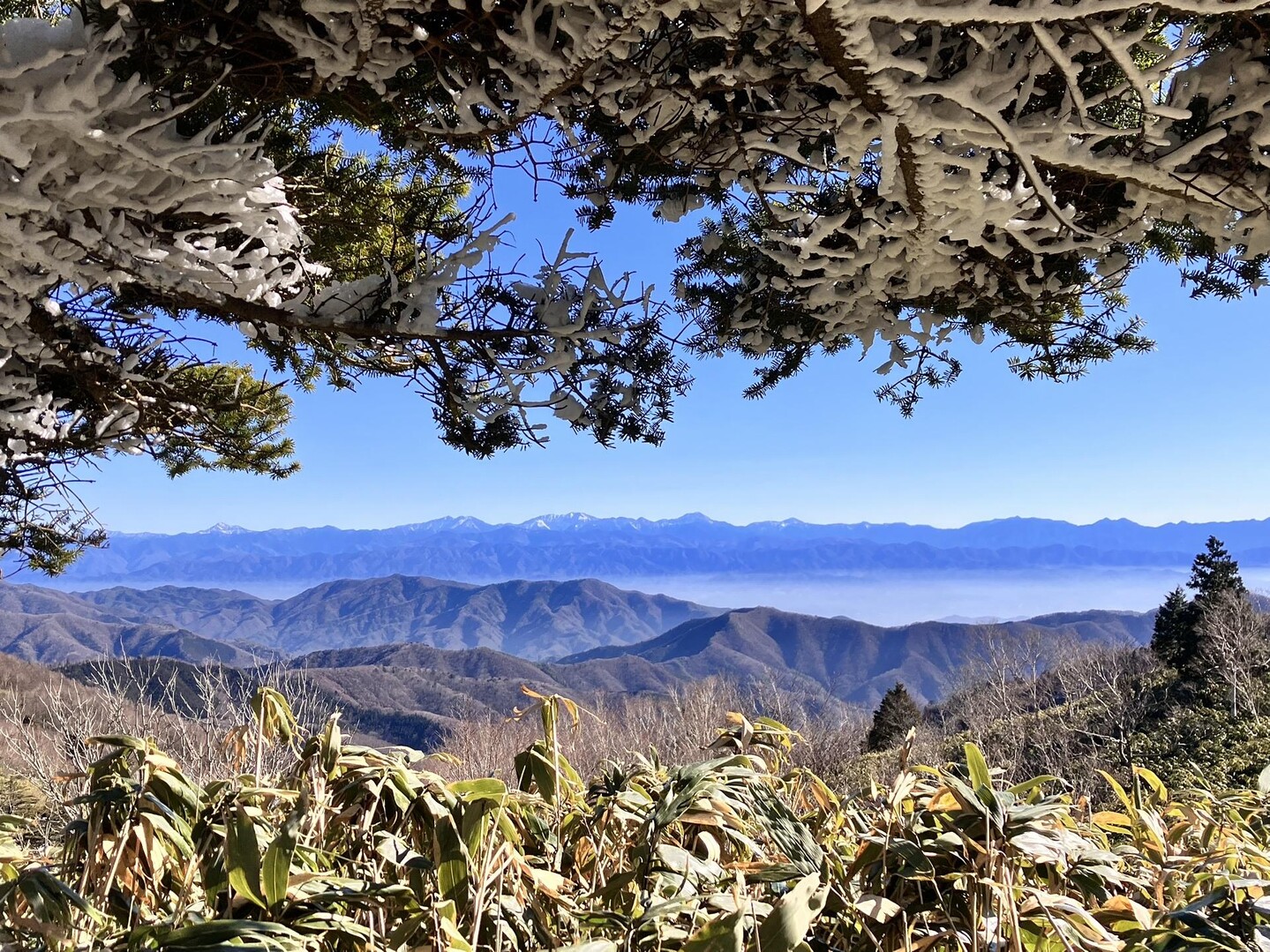 帰省ついでに大好きな雪山に ️〜南沢山-富士見台ピストン / tatさんの恵那山・大判山・神坂山の活動データ | YAMAP / ヤマップ