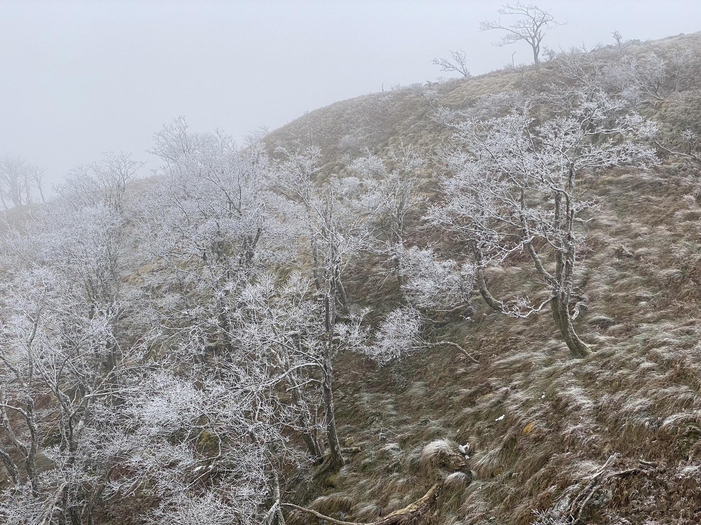 爆風の鈴北岳 / TKOさんの天狗堂の活動データ | YAMAP / ヤマップ