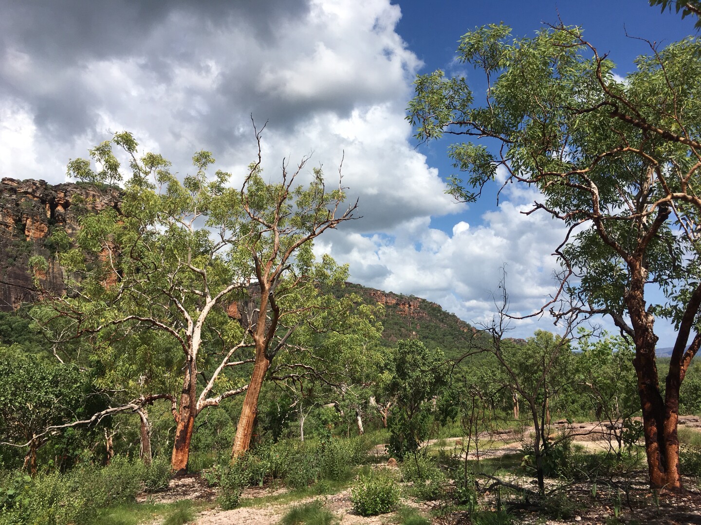 Sueのページ | YAMAP / ヤマップ