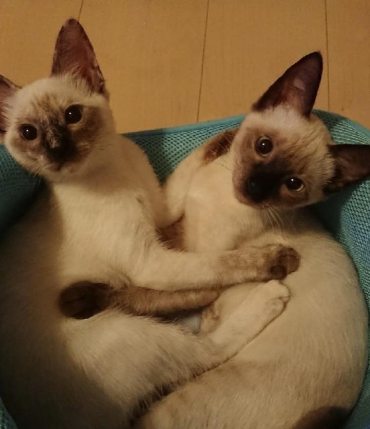 ゆずぽんずのページ | YAMAP / ヤマップ