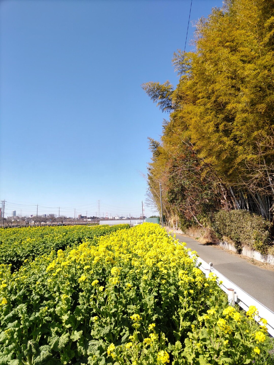 初登りに行こうと思ったけど、またしても出... / にゃんこさんのモーメント | YAMAP / ヤマップ