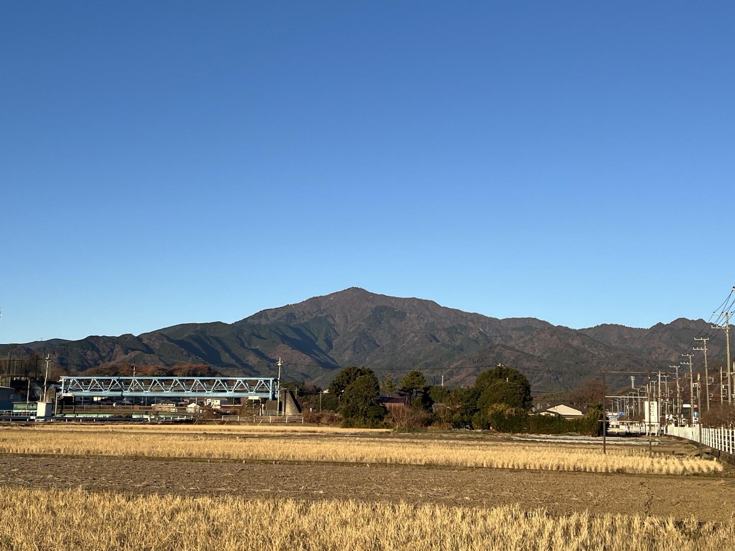 茶々🐶と登る山納め。大山。 / つなちゃちゃさんの大山の活動データ | YAMAP / ヤマップ