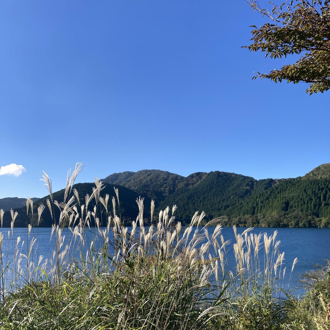 黒岳・三国山・海ノ平（箱根外輪山その3） / みゅさんの箱根山・神山の活動データ | YAMAP / ヤマップ