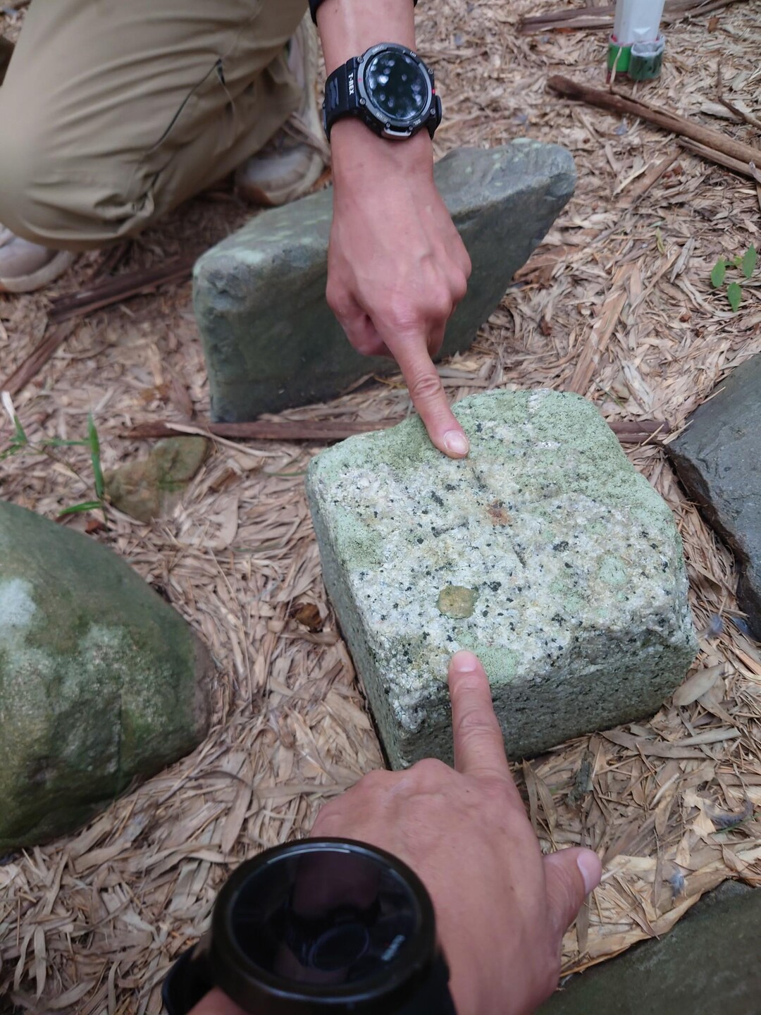 竜ヶ岳 / dewarsさんの竜ヶ岳の活動データ | YAMAP / ヤマップ