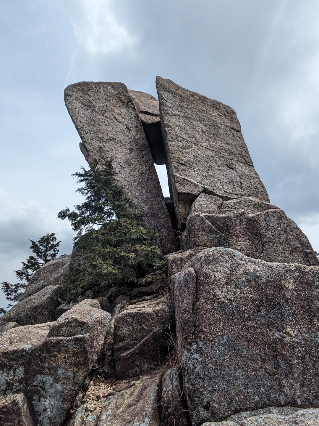 御在所岳 / Hiro-Tさんの御在所岳（御在所山）・雨乞岳の活動データ | YAMAP / ヤマップ