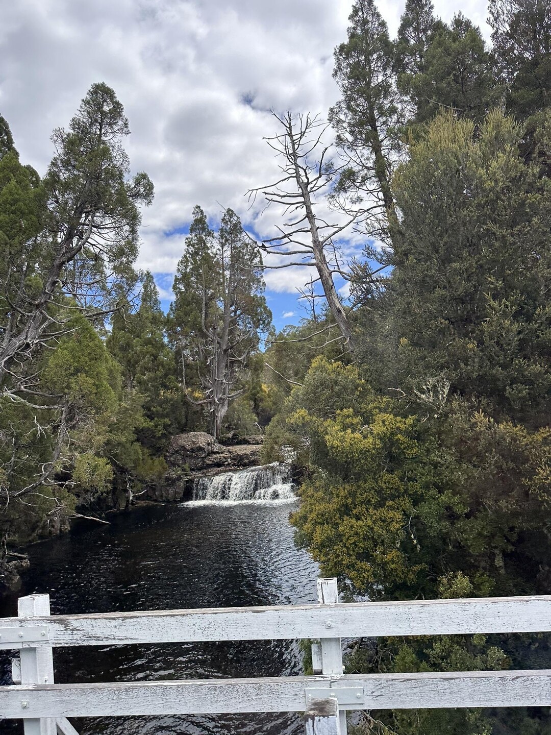 クレイドル山＝セント・クレア湖国立公園 Cradle Mountain-Lake St Clair National Park / chiiさんのウォーキングの活動データ | YAMAP / ヤマップ