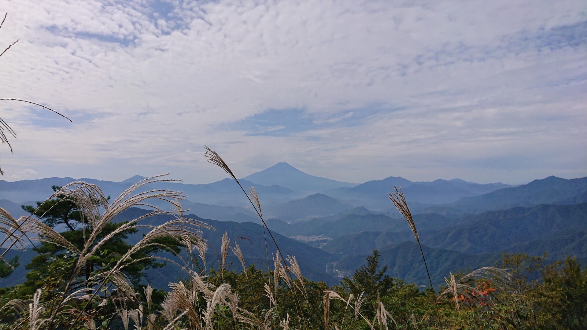 浅川峠〜権現山〜三ツ森北峰 / 2543mさんの権現山・奈良倉山の活動データ | YAMAP / ヤマップ