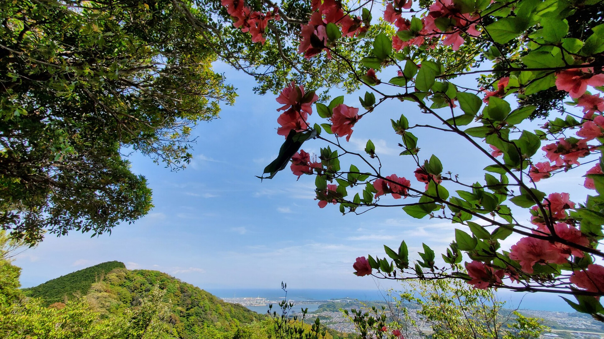 2022/4/19 山活再開！近くの鷲... / sherra80さんのモーメント | YAMAP / ヤマップ