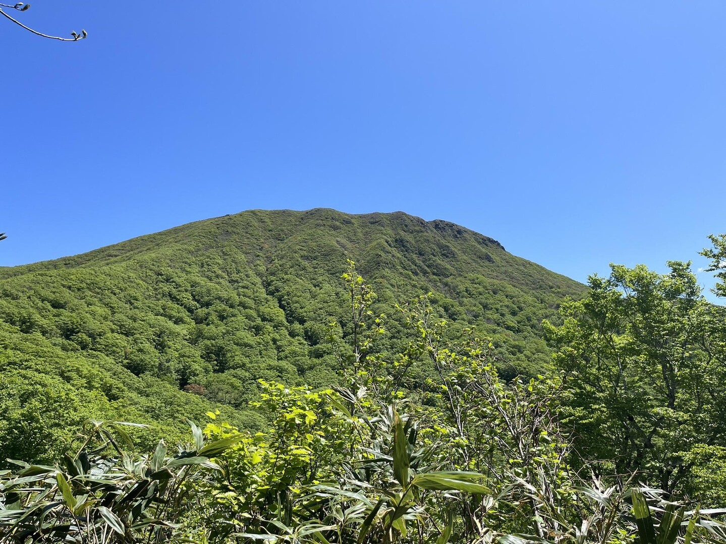 御所山・仙台カゴ / JhonWickさんの船形山（御所山）・泉ヶ岳・蛇ヶ岳の活動データ | YAMAP / ヤマップ