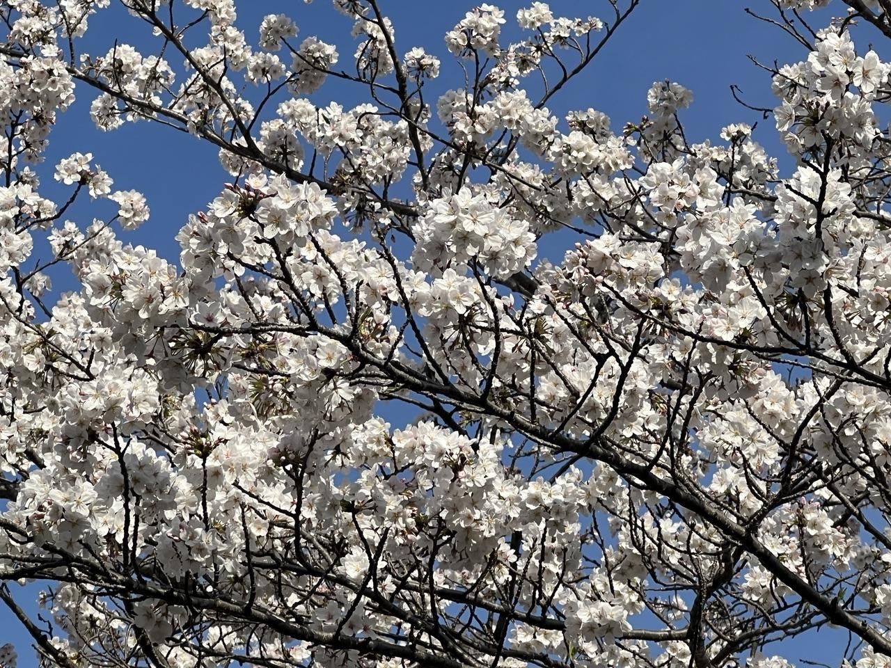 Wushengのページ | YAMAP / ヤマップ