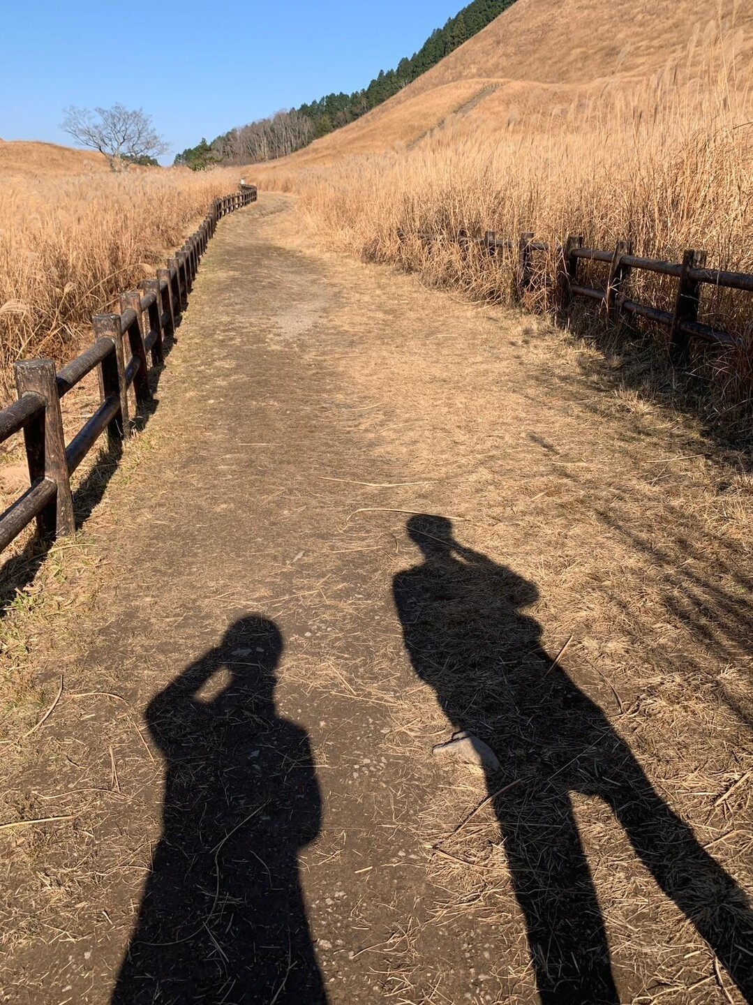 山でヒーコラいいながら歩いている時に 向... / としおちゃんさんのモーメント | YAMAP / ヤマップ