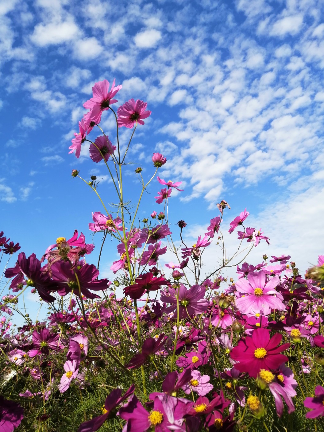 10/18日にSNS で見つけて気になっ... / takasan1020さんのモーメント | YAMAP / ヤマップ