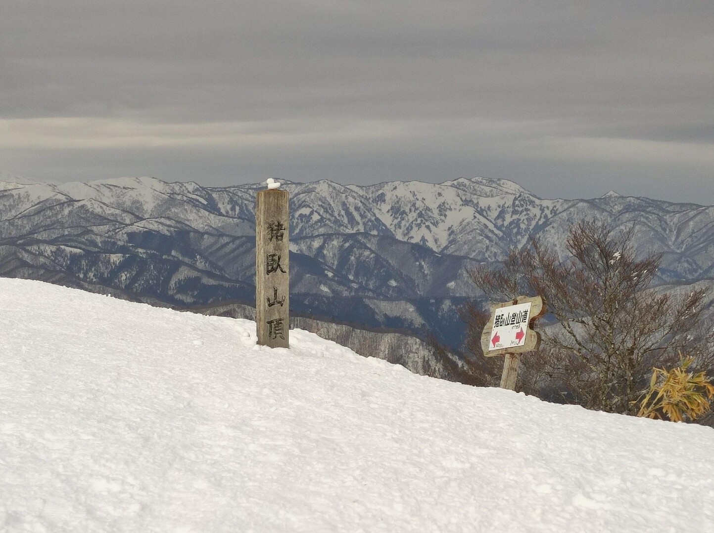 猪臥山 / dk0711さんの猪臥山の活動データ | YAMAP / ヤマップ