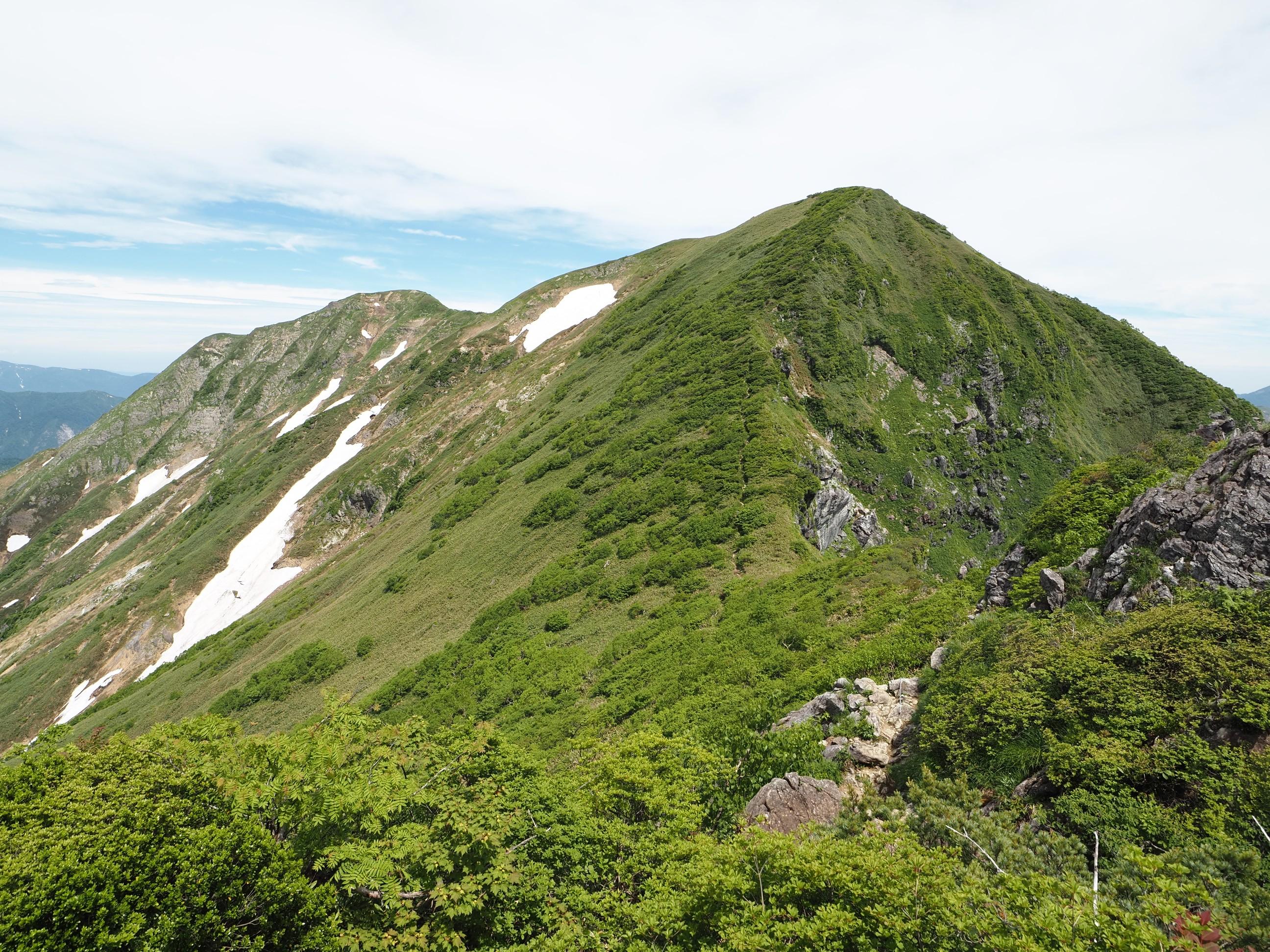 谷川岳・茂倉岳🌱 - 20250622 / Tadaboxさんの谷川岳・七ツ小屋山・大源太山の活動データ | YAMAP / ヤマップ