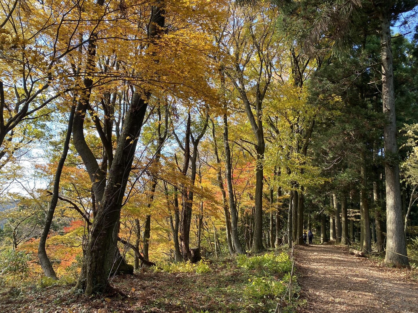 久しぶりに文殊山へ / nobさんの文殊山の活動データ | YAMAP / ヤマップ