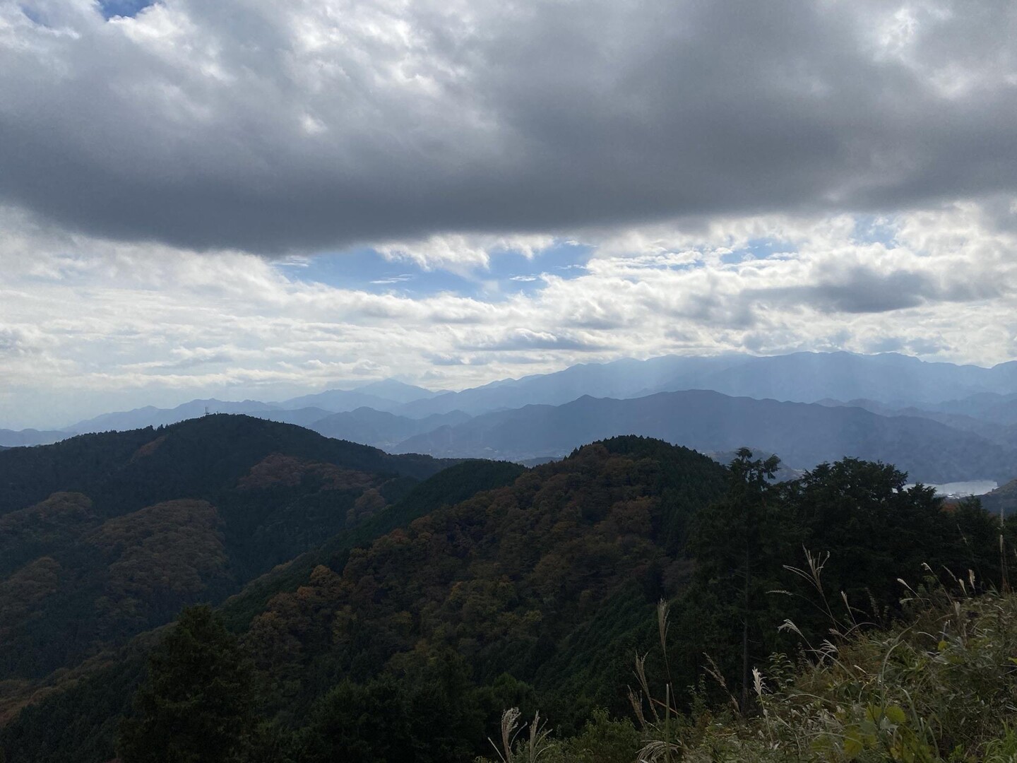 景信山 再び。 本日は曇りなので奥高尾... / mieeさんのモーメント | YAMAP / ヤマップ