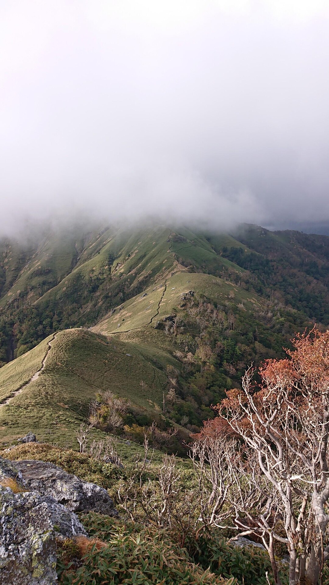 剣山・次郎笈・二ノ森 1955 / isonoさんの剣山の活動データ | YAMAP / ヤマップ