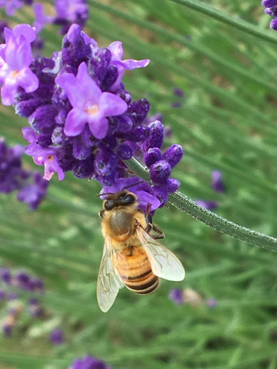 Kunのページ | YAMAP / ヤマップ