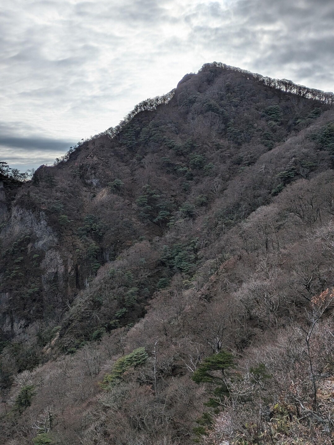 帰省ついでの百名山攻めVol.1 友と行く祖母山 / MAKOTOさんの祖母山の活動データ | YAMAP / ヤマップ