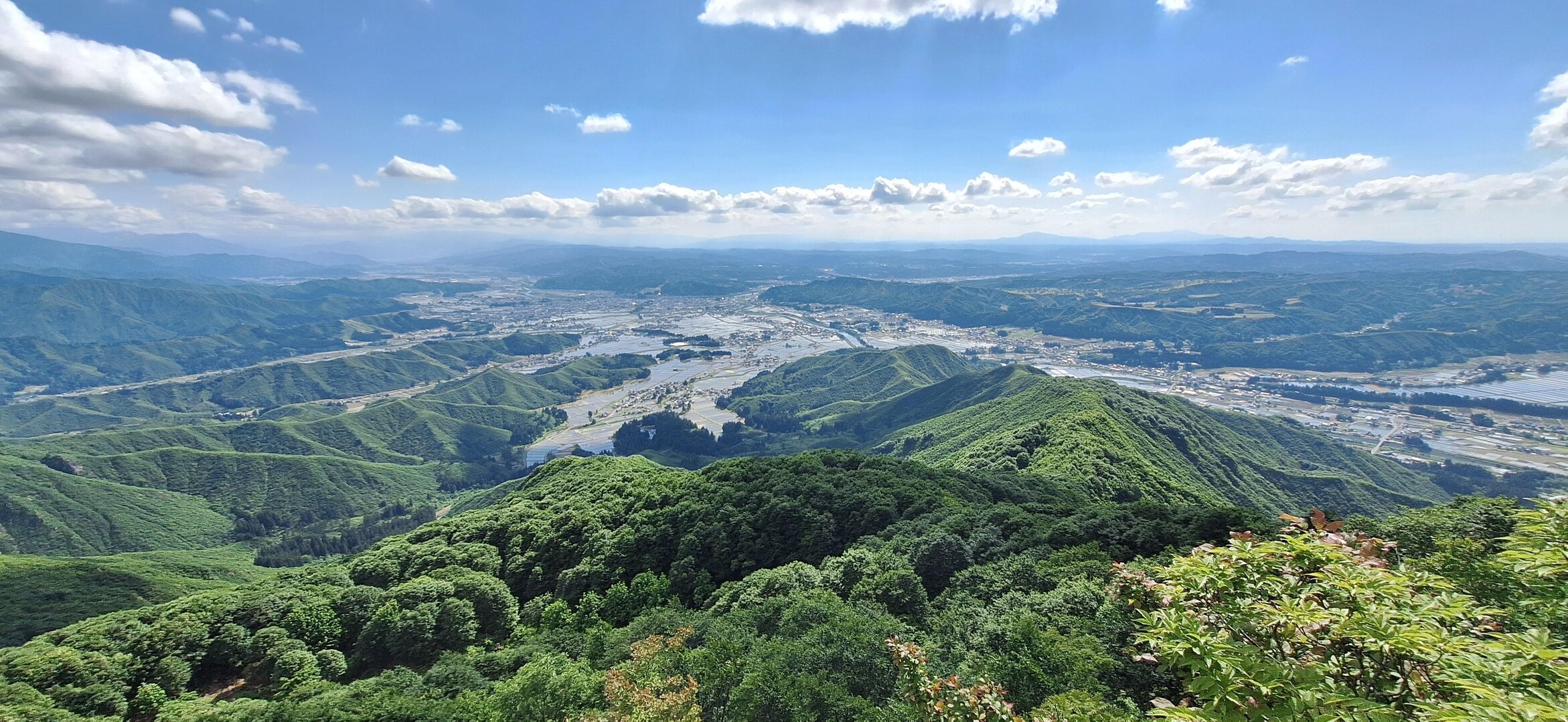 下権現堂山・上権現堂山 Re / 梟 さんの上権現堂山・下権現堂山・唐松山の活動日記 | YAMAP / ヤマップ