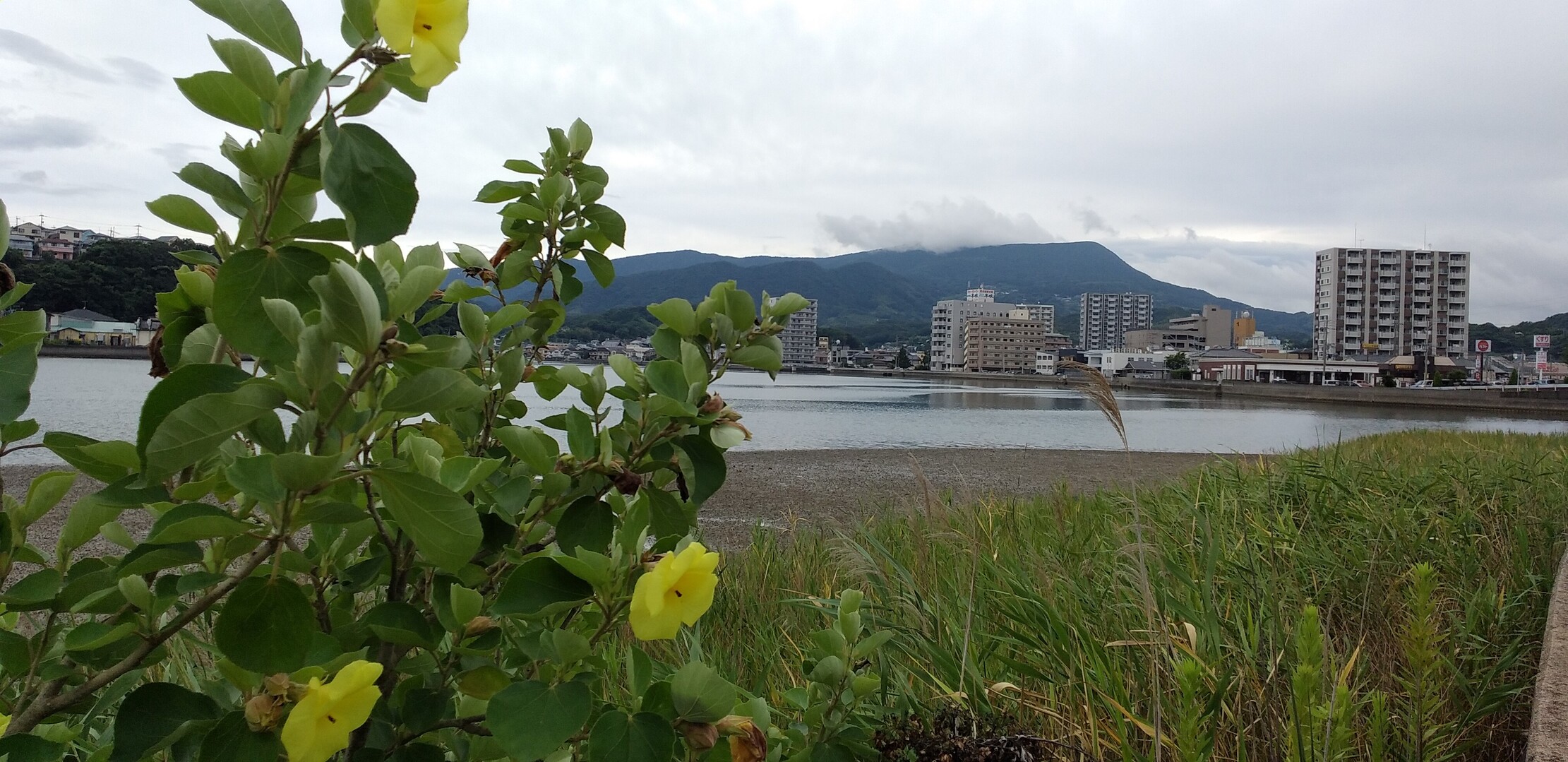 散歩路(瀬戸コース) 夏 / akkoさんの登山の活動データ | YAMAP / ヤマップ