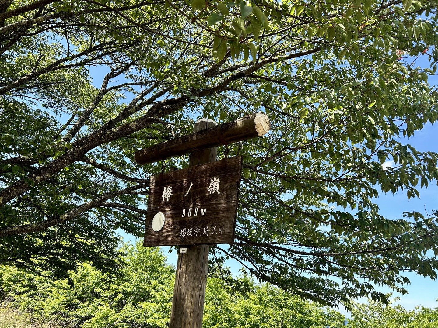 棒ノ嶺（棒ノ折山） / mozuさんの棒ノ折山（棒ノ嶺）の活動データ | YAMAP / ヤマップ