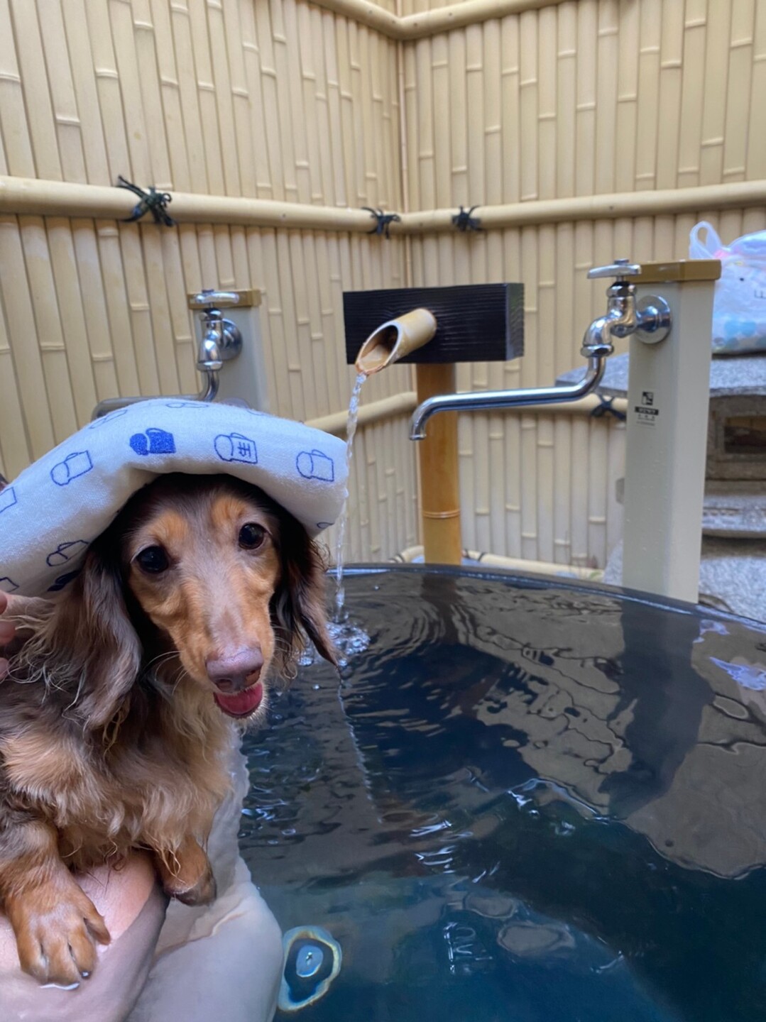 わたし🙊専用、貸切露天風呂♨️🦦 @... / Pakkun🚶 & もんちむ🐒さんのモーメント | YAMAP / ヤマップ