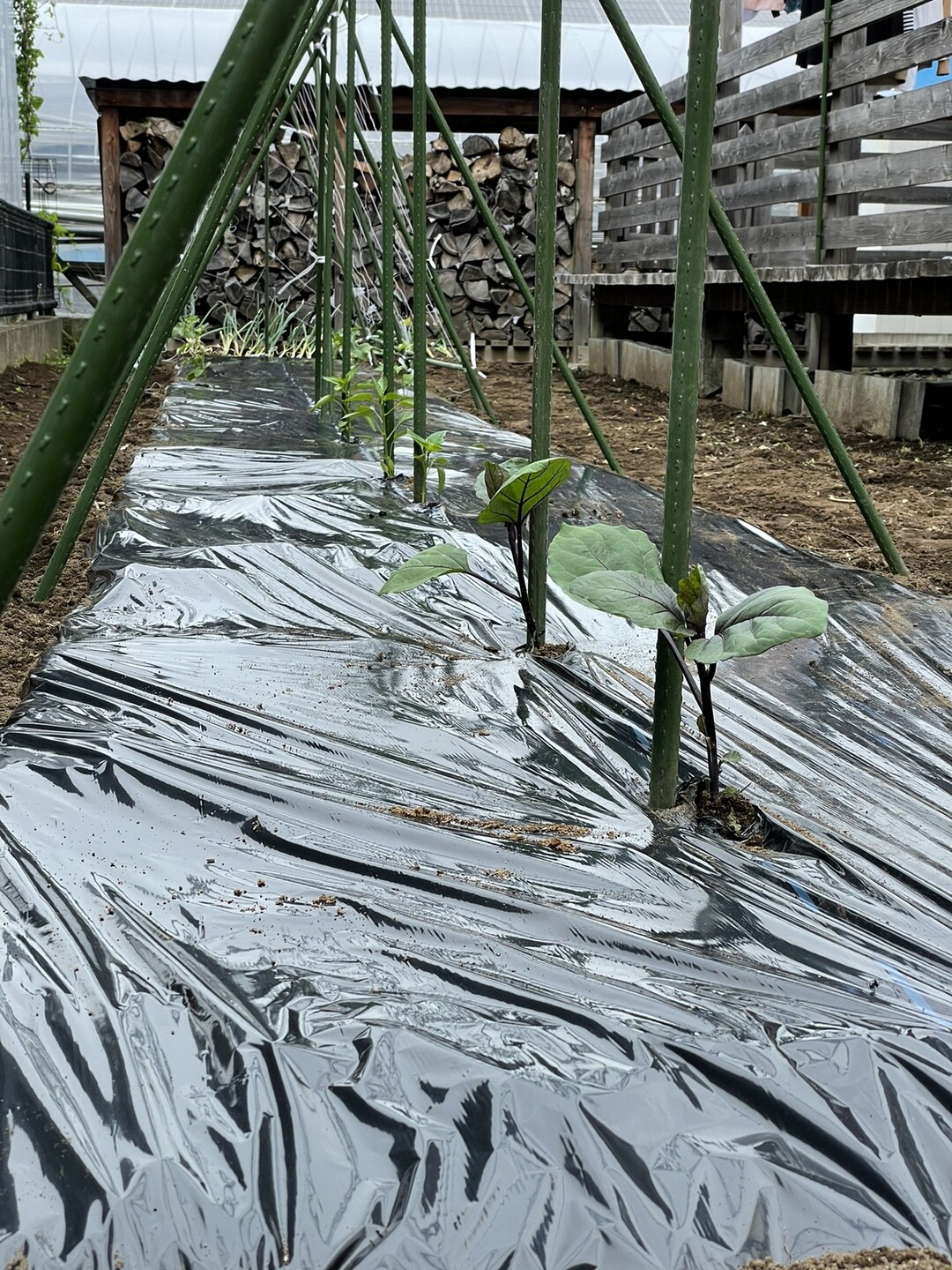 GWなのにお天気下り坂なので。。。😩 ... / NNさんのモーメント | YAMAP / ヤマップ