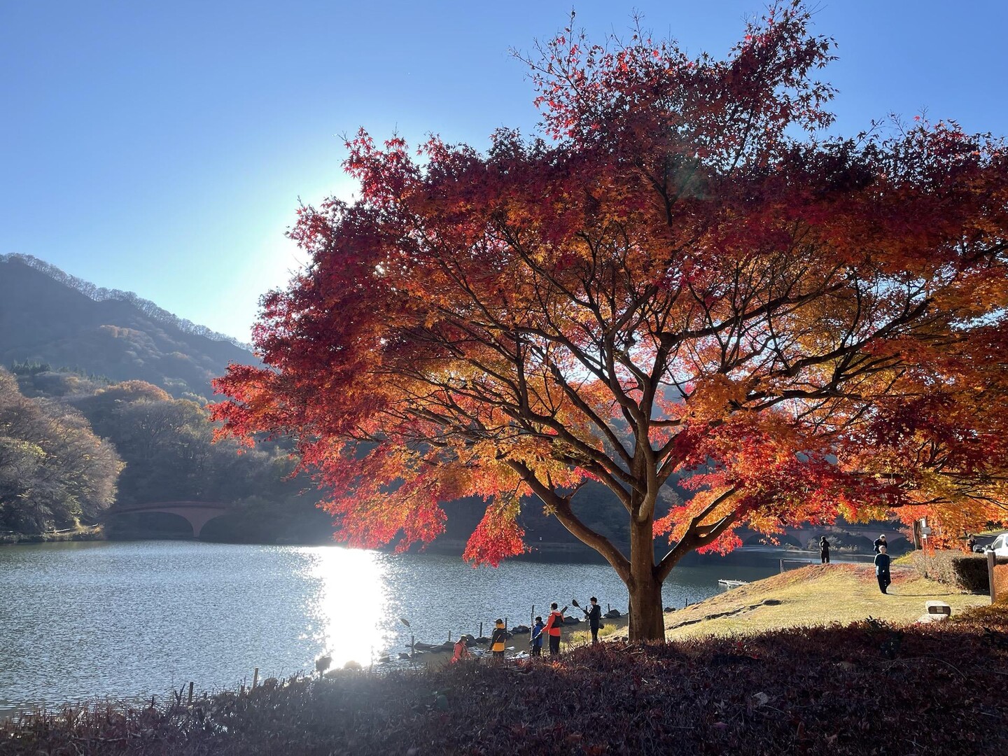 碓氷峠〜旧中山道🍁刎石山 / mieさんの鼻曲山・氷妻山・留夫山の活動データ | YAMAP / ヤマップ