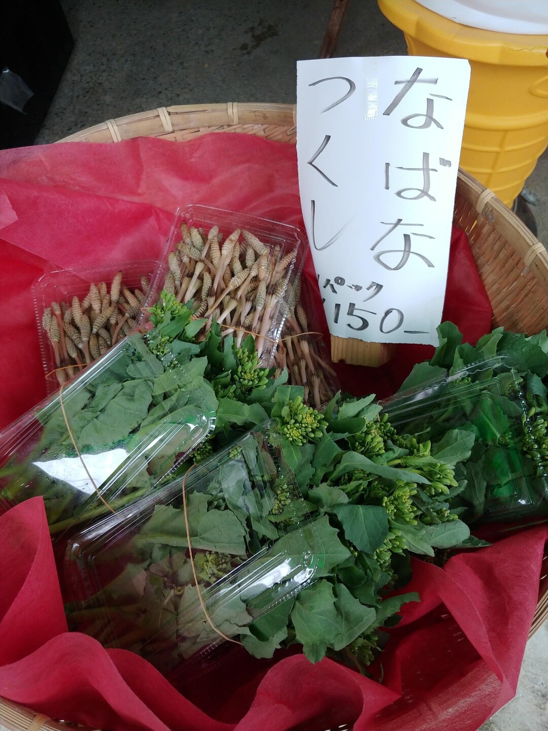 竜ヶ岳 / meg♡さんの竜ヶ岳の活動データ | YAMAP / ヤマップ