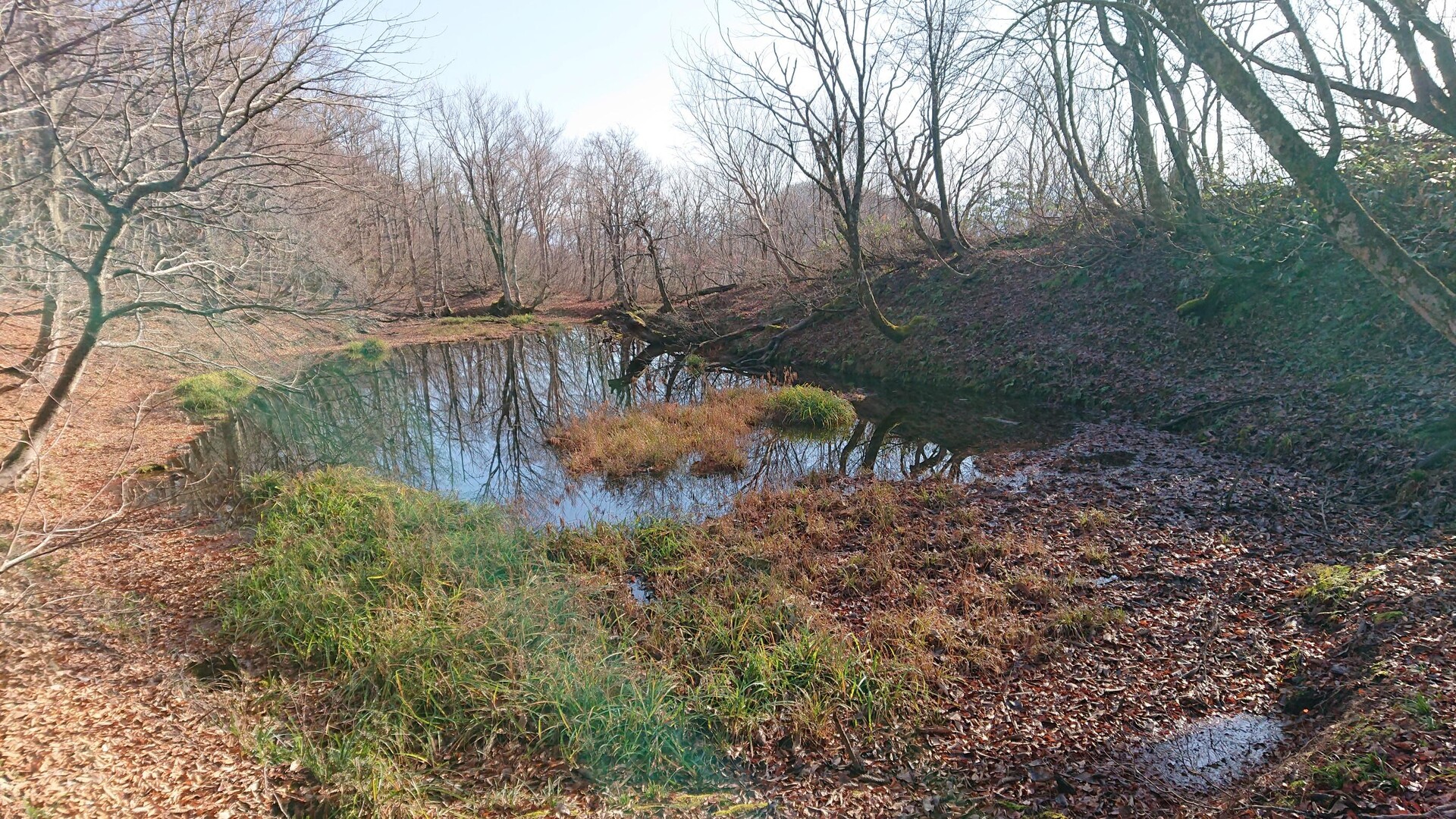 野見ヶ岳・岩谷山 / Kuraさんの日野山の活動データ | YAMAP / ヤマップ