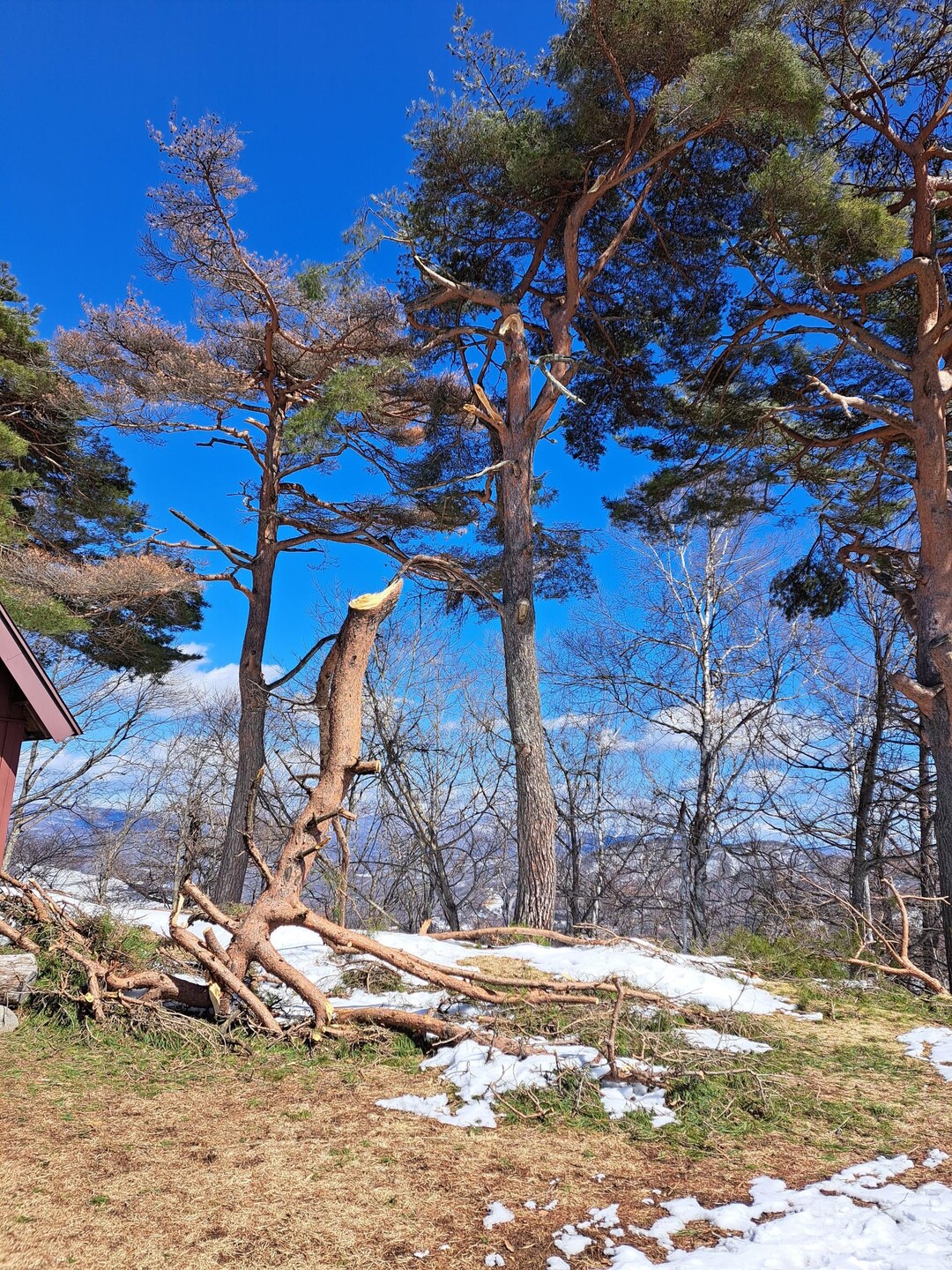 その後の平尾富士 / take2さんの平尾富士（平尾山）・閼伽流山の活動データ | YAMAP / ヤマップ