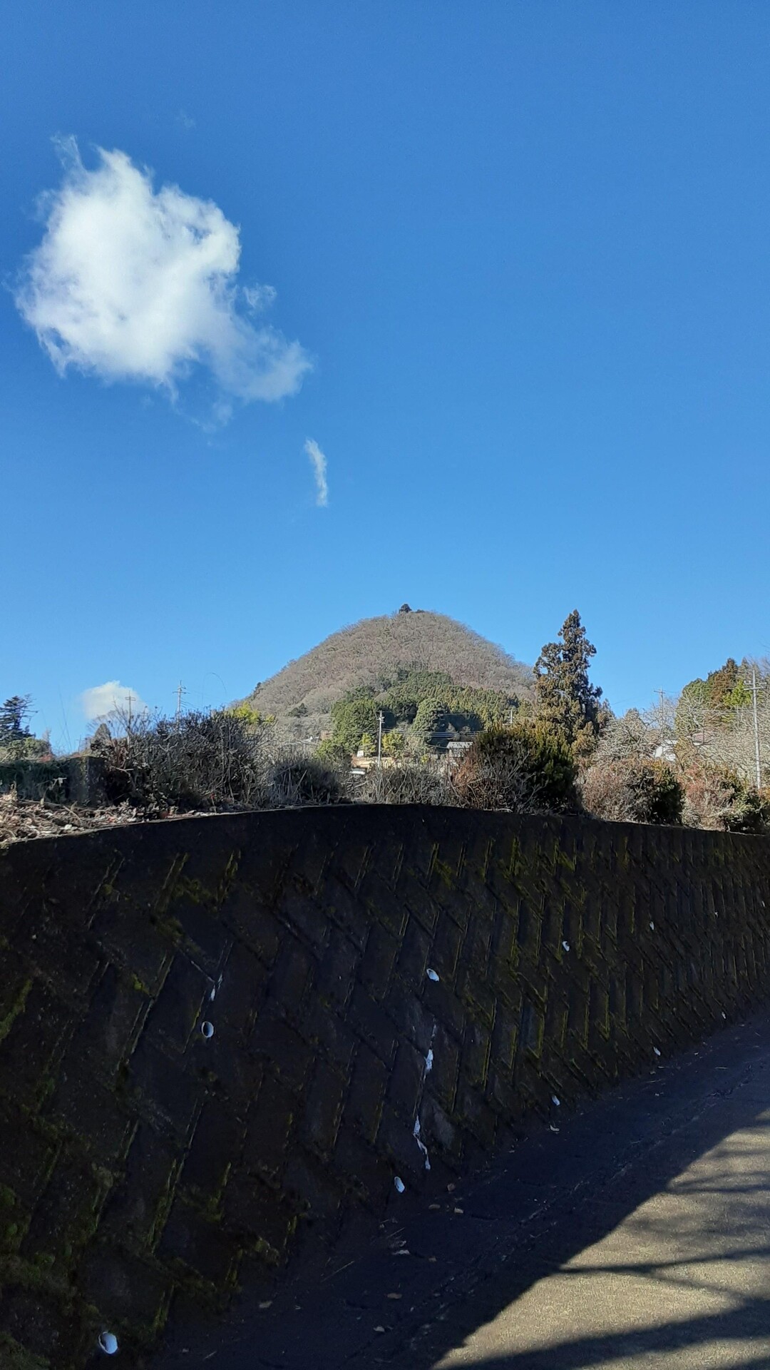 要害山・風の神・コヤシロ山・上野原散歩 / Kyuri_EXさんの八重山・能岳・聖武連山・要害山の活動データ | YAMAP / ヤマップ