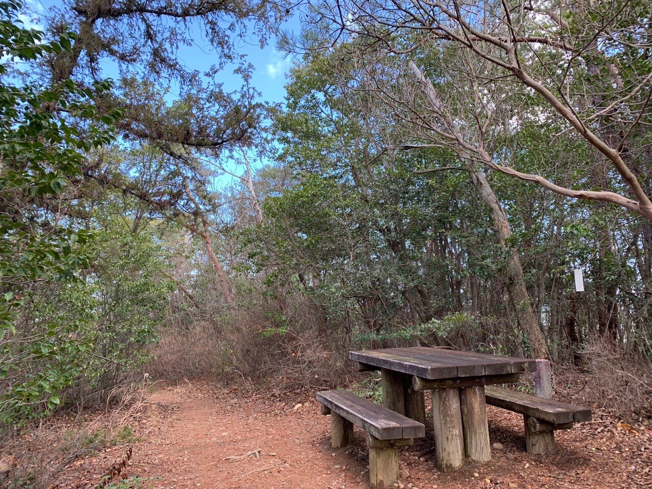 さわなんさんの投稿したフィールドメモ | YAMAP / ヤマップ