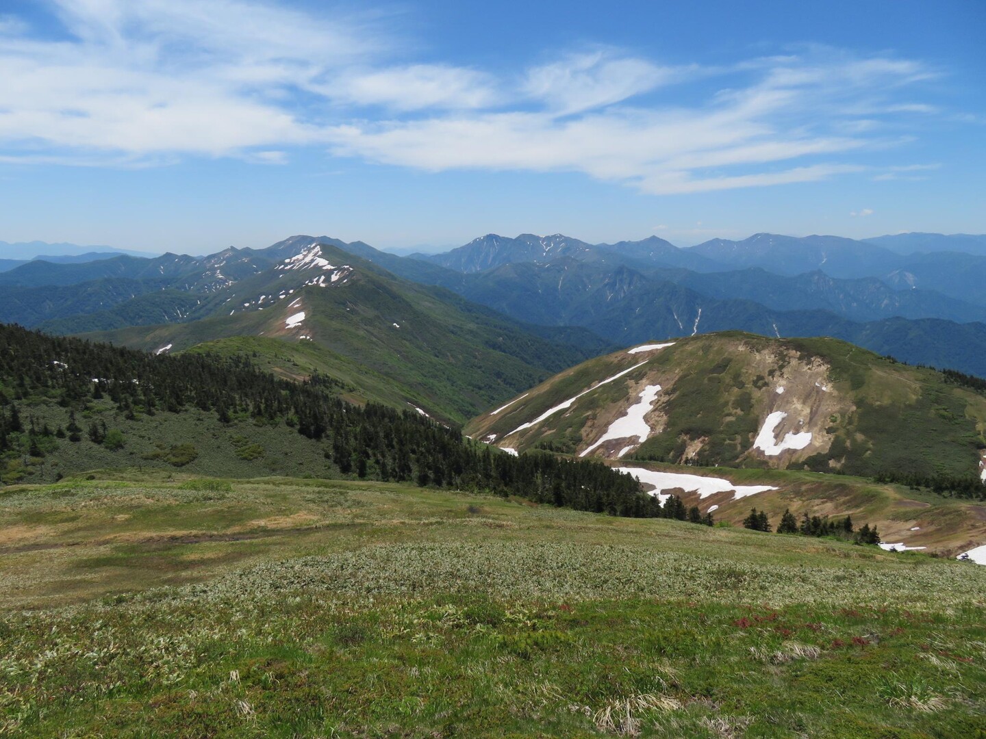 巻機山2023-06-17 / marykateさんの巻機山・割引岳・金城山の活動データ | YAMAP / ヤマップ