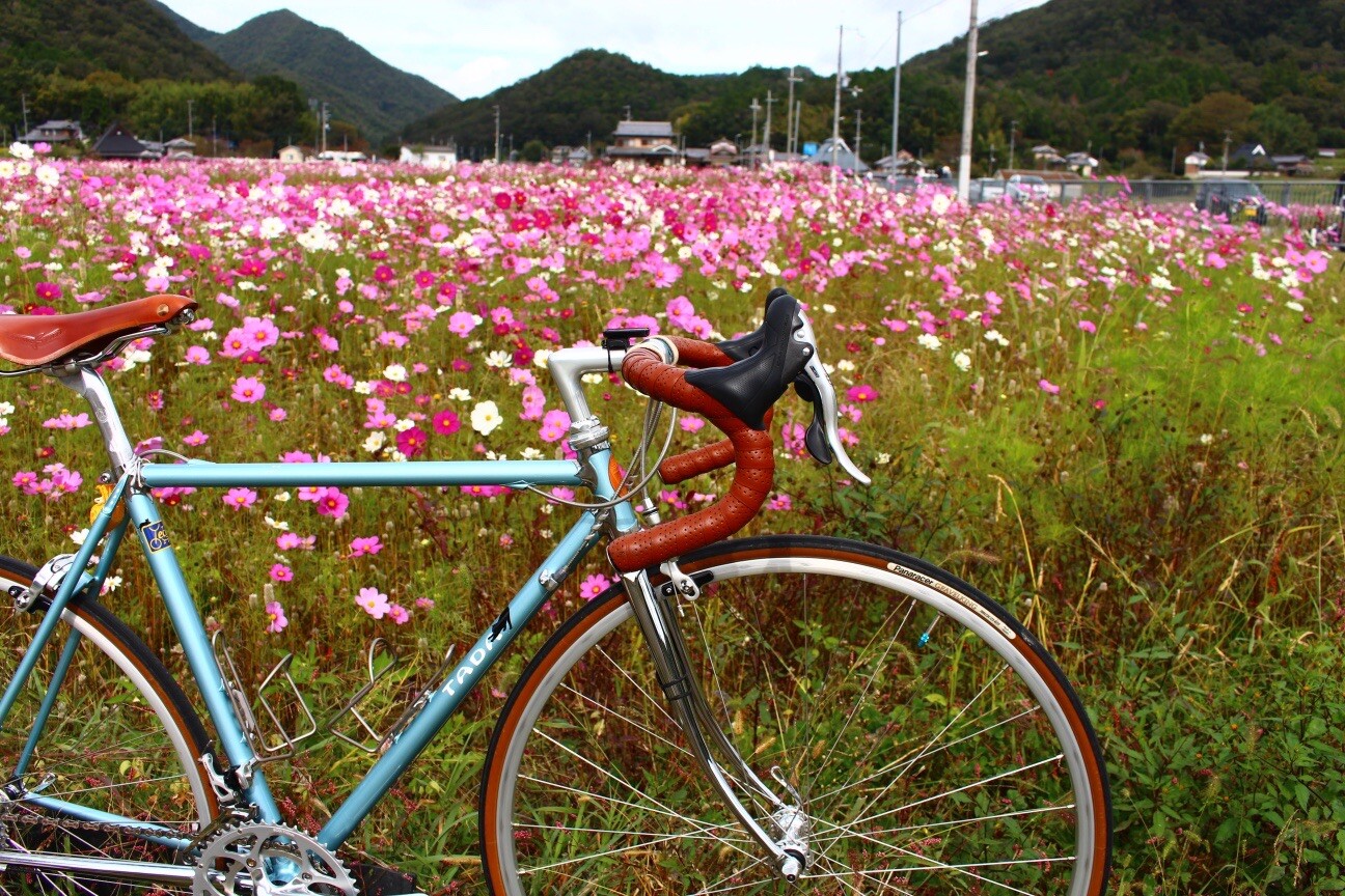 コスモス畑へゆる〜いサイクリング🚴‍♀... / kazu51さんのモーメント | YAMAP / ヤマップ