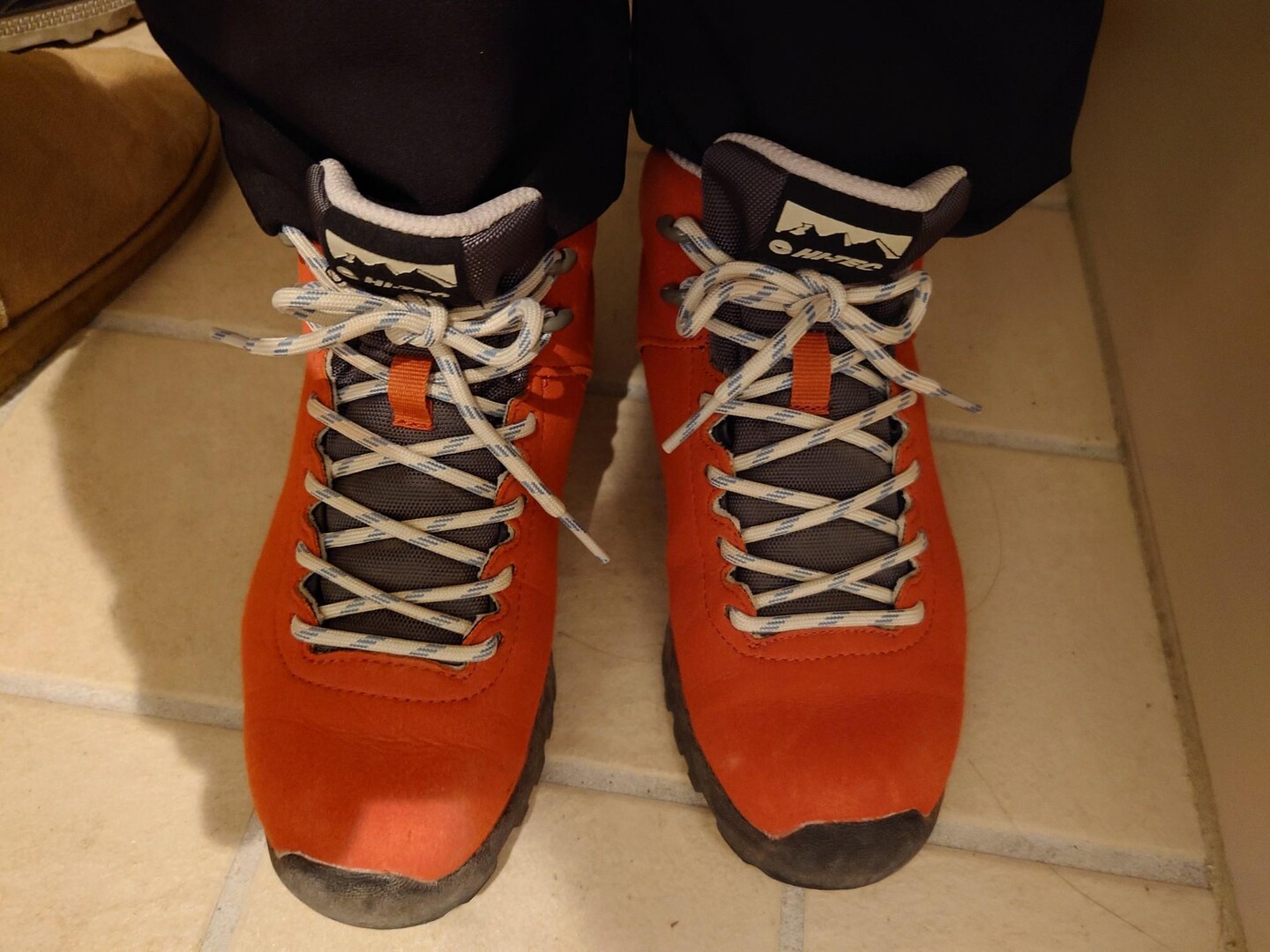 職場の先輩と3週連続里山アタック⛰で、2... / mikitさんのモーメント | YAMAP / ヤマップ