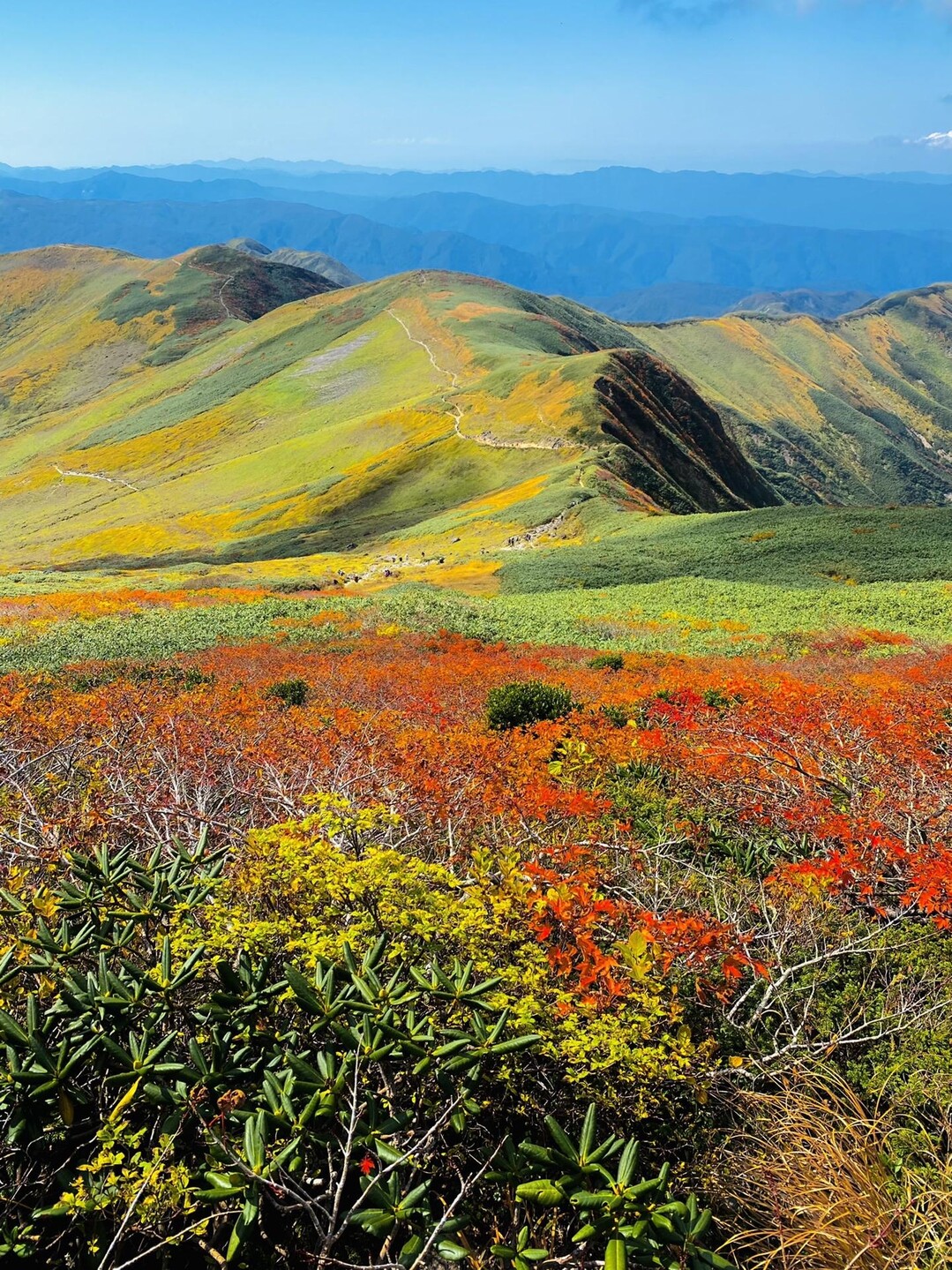 姥ヶ岳・柴灯森・月山 / chiiさんの月山の活動データ | YAMAP / ヤマップ