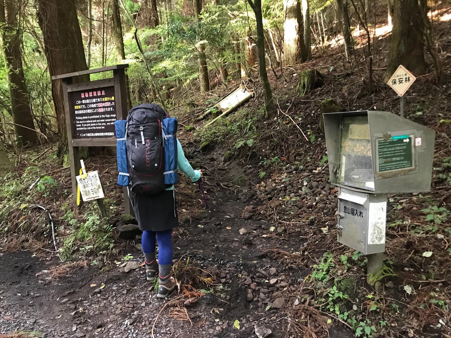 Meeyaさんの投稿したフィールドメモ | YAMAP / ヤマップ